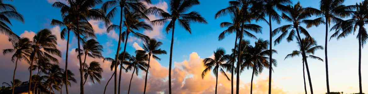 Meet Matthew Lalli, DDS or Andrew Lalli, DDS | Oral Surgeon St ...