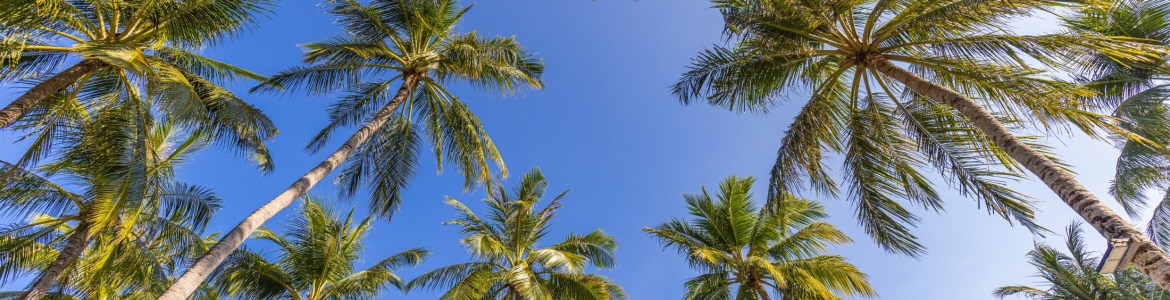 Meet Matthew Lalli, DDS or Andrew Lalli, DDS | Oral Surgeon St ...